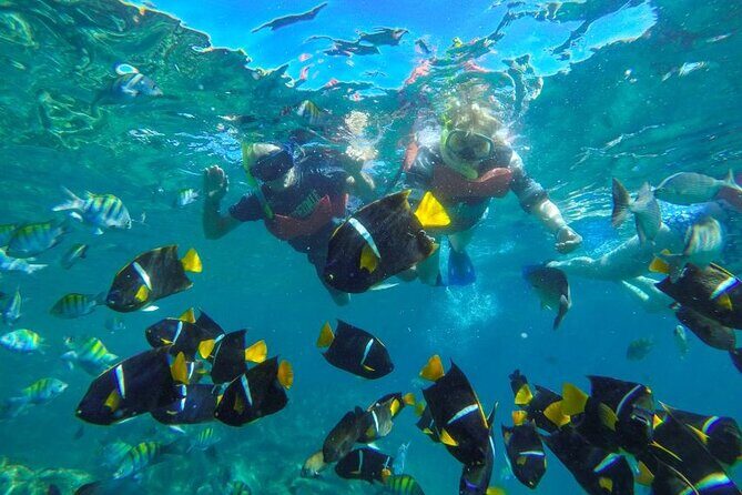 Puerto Vallarta: Private Yelapa Beach & Snorkel Tour on a Yacht - Practical Tips for Booking and Enjoying Your Day