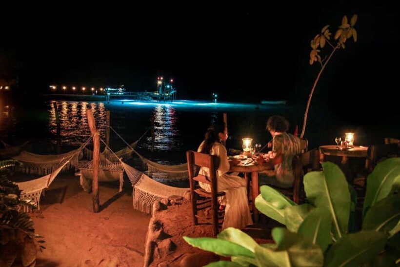 Puerto Vallarta Rhythms of the night, Show & Buffet dinner - Final Thoughts