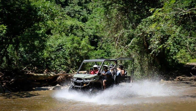 Puerto Vallarta: Rio Cuale Buggy Tour - The practicalities and value