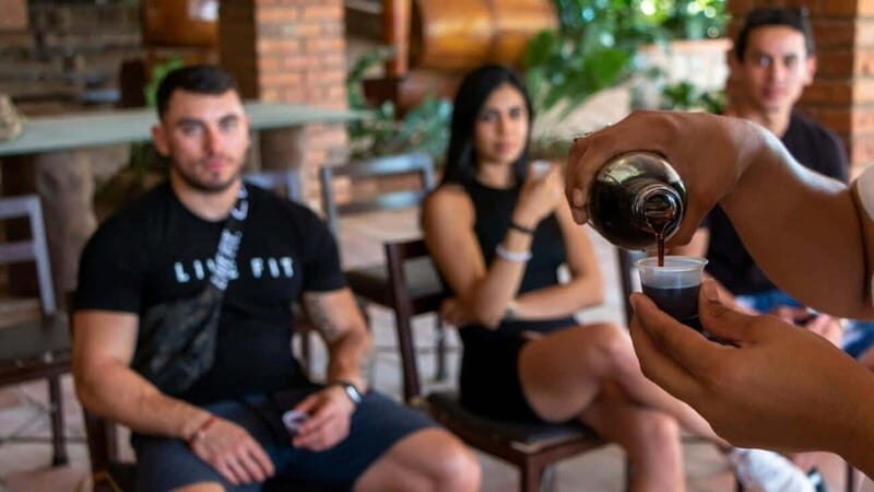 Puerto Vallarta: RZR Canopy River - Who Is This Tour Best For?