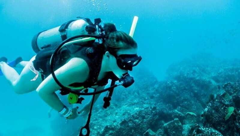 Puerto Vallarta: Scuba Dive at Los Arcos - Why This Tour Offers Great Value
