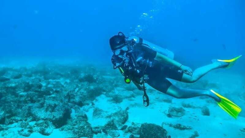 Puerto Vallarta: Scuba Dive at Los Arcos - FAQ