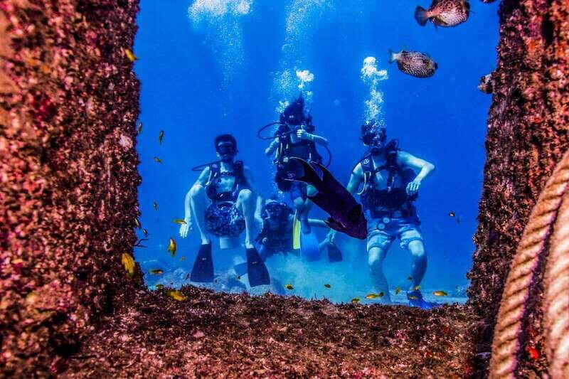 Puerto Vallarta: Scuba Dive in Las Caletas - Who Should Consider This Tour?