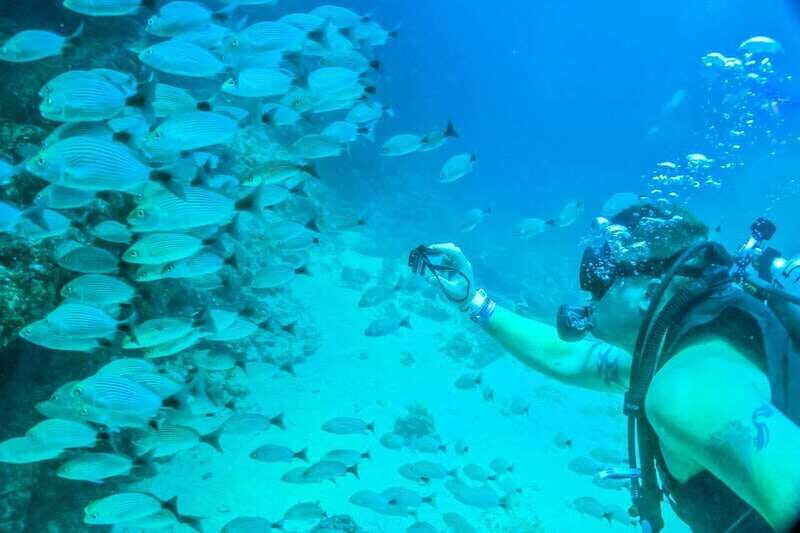Puerto Vallarta: Scuba Dive in Las Caletas - The Sum Up: Why It’s a Solid Choice for Authentic Marine Exploration