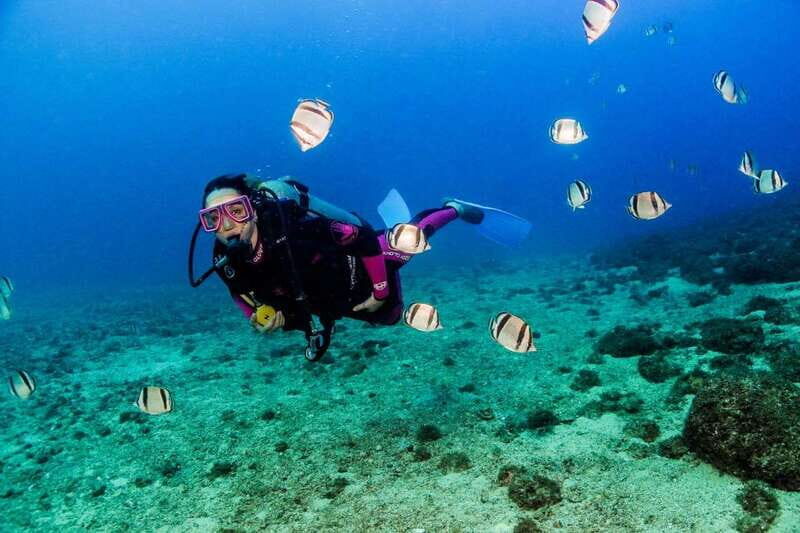 Puerto Vallarta: Scuba Dive in Las Caletas - FAQ