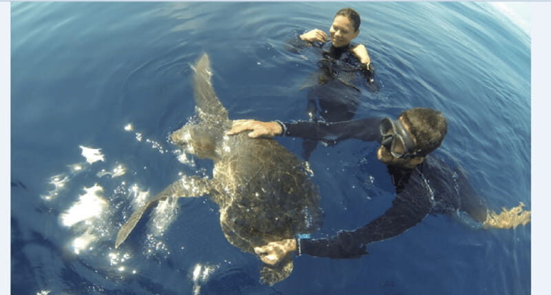 Puerto Vallarta: Scuba Diving en el Morro - Getting There and Starting Out