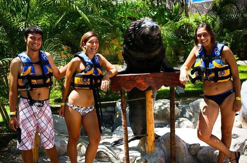 Puerto Vallarta: Sea Lion Discovery at Aquaventuras Park - Key Points
