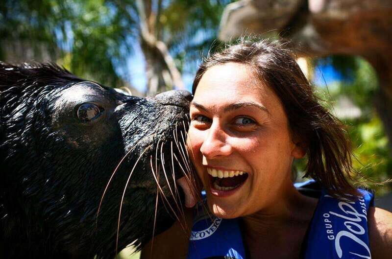 Puerto Vallarta: Sea Lion Discovery at Aquaventuras Park - An Honest Look at the Experience