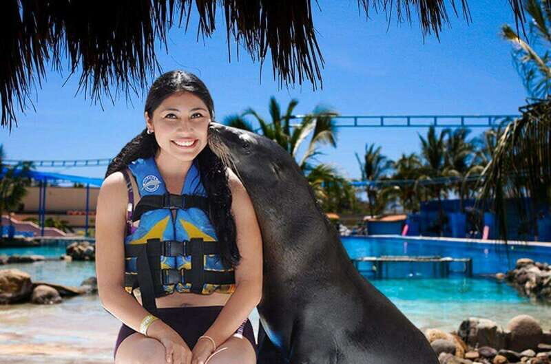Puerto Vallarta: Sea Lion Discovery at Aquaventuras Park - Who Will Love This Tour?