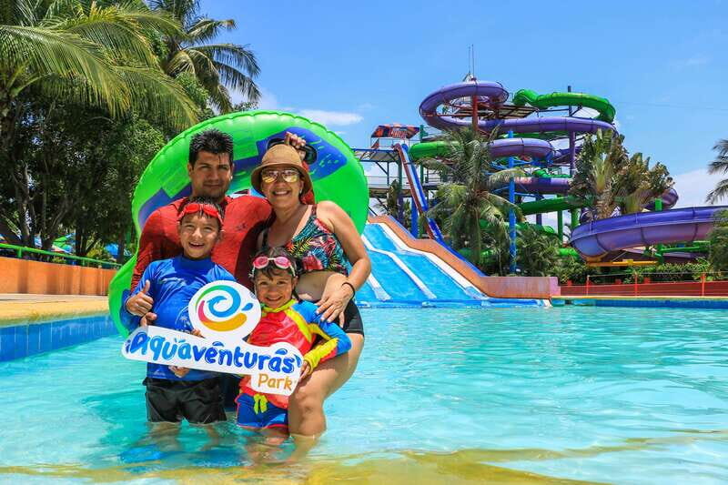 Puerto Vallarta: Sea Lion Discovery - Key Points