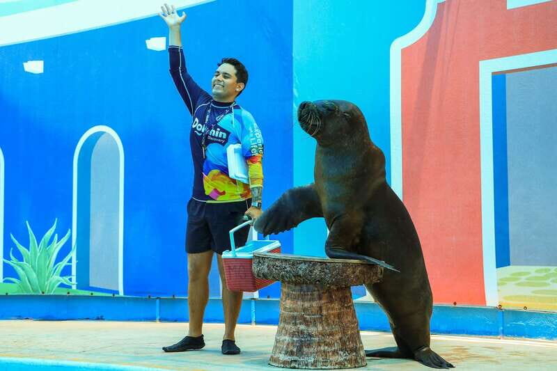 Puerto Vallarta: Sea Lion Discovery - Who Will Enjoy This Tour?