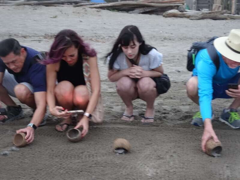 Puerto Vallarta: Sea turtle release at Sunset - An In-Depth Look at the Turtle Release Tour