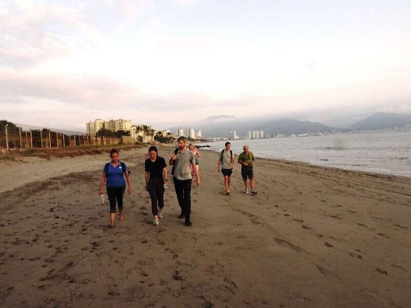 Puerto Vallarta: Sea turtle release at Sunset - Practical Details and Tips
