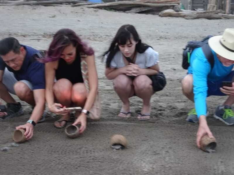 Puerto Vallarta: Sea turtle release at Sunset - The Sum Up