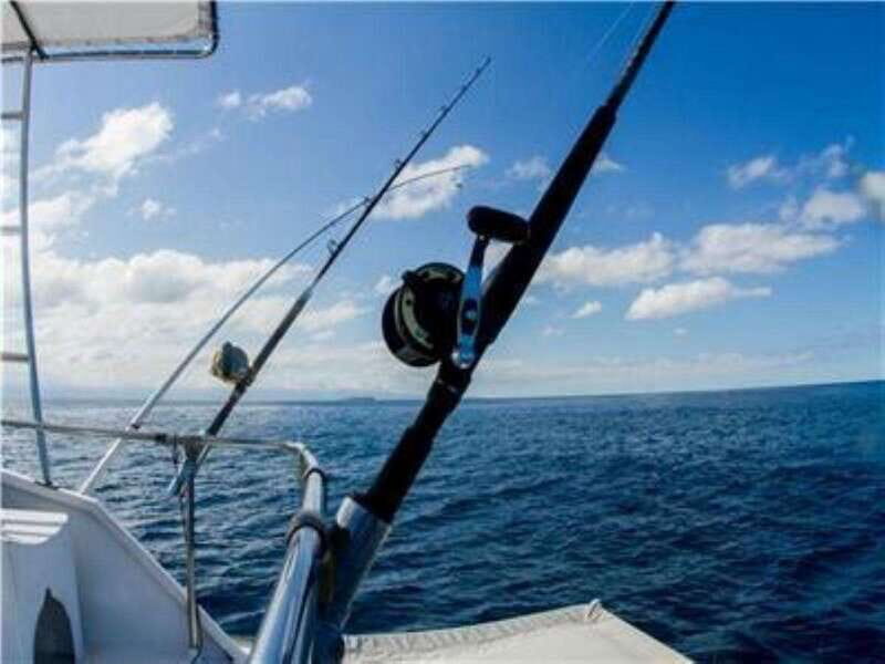 Puerto Vallarta: Shared Fishing - The Catch and the Experience