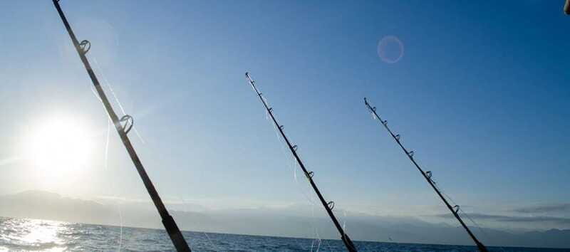 Puerto Vallarta: Shared Fishing - Who Will Love This Experience?