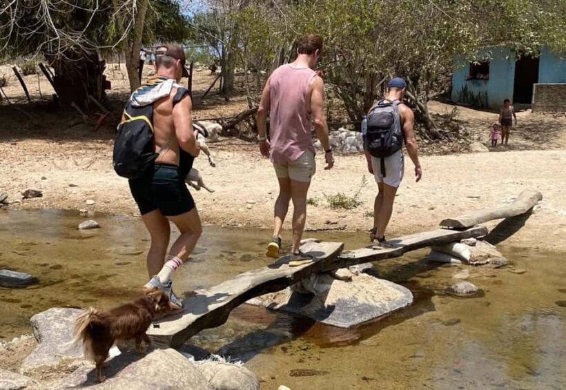 Puerto Vallarta: Snorkel in Los Arcos, Las Animas & Quimixto - Who Should Consider This Tour?