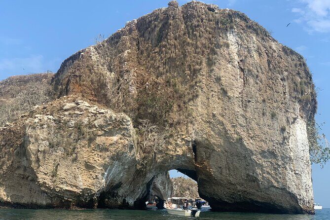 Puerto Vallarta snorkel tour at Los Arcos - Final Thoughts: Is This Tour for You?