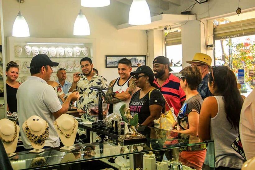 Puerto Vallarta: Tropical City & Zipline Adventure - Key Points