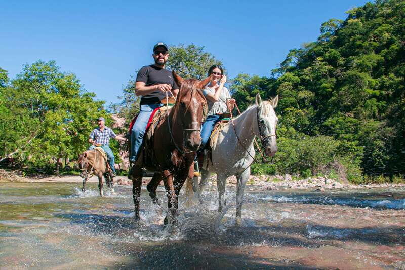 Puerto Vallarta: Tropical Forest Horseback Riding Adventure - An Authentic Ride Through Puerto Vallartas Vibrant Jungle
