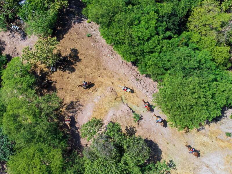 Puerto Vallarta: Tropical Forest Horseback Riding Adventure - The Experience and What Travelers Are Saying