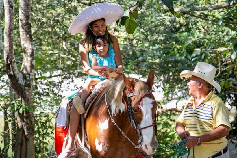 Puerto Vallarta: Tropical Tour - What to Expect: The Experience in Detail