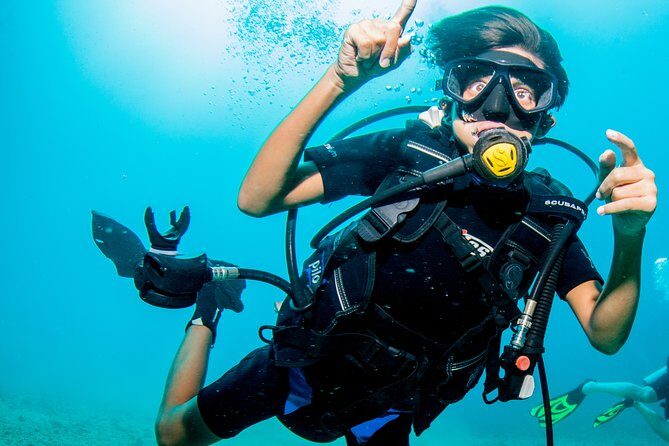 Puerto Vallarta Undersea Private Scuba Diving - The Itinerary: What to Expect