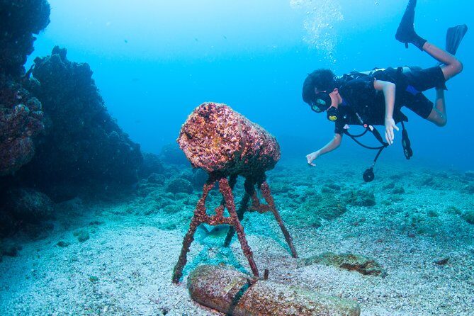 Puerto Vallarta Undersea Private Scuba Diving - The Cost and What it Buys You