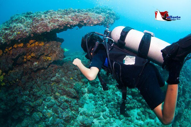 Puerto Vallarta Undersea Private Scuba Diving - Summary of the Experience