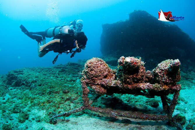 Puerto Vallarta Undersea Private Scuba Diving - Who Will Love This Tour?