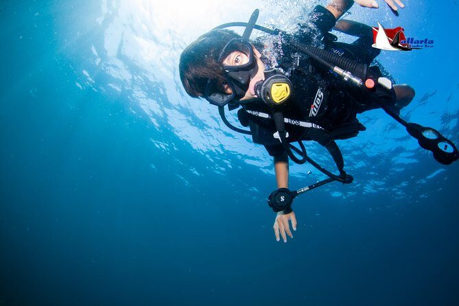 Puerto Vallarta Undersea Private Scuba Diving - Final Thoughts