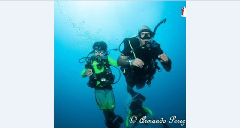 Puerto Vallarta: Underwater Wonderland at Los Arcos - What You Can Expect to See and Experience