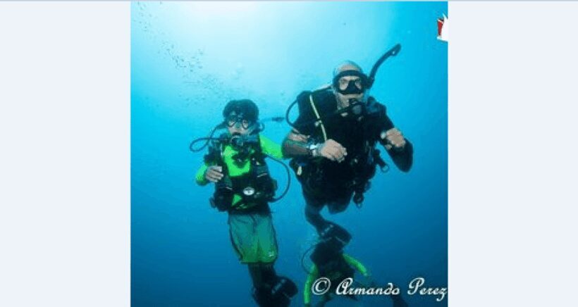 Puerto Vallarta: Underwater Wonderland at Los Arcos - Who Would Love This Tour?