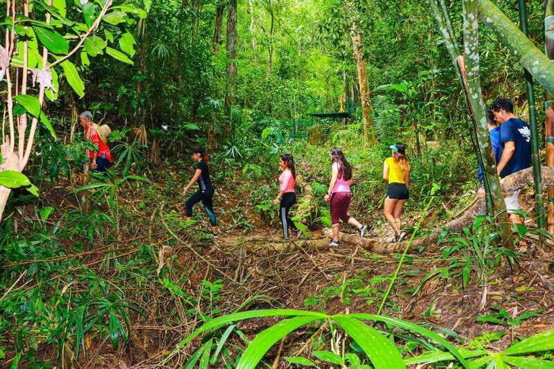 Puerto Vallarta: Vallarta's Botanical Garden by Sea or Land - Exploring the Vallarta Botanical Garden