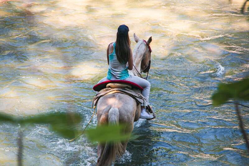 Puerto Vallarta: Wild Tour Horseback Adventure - The Sum Up
