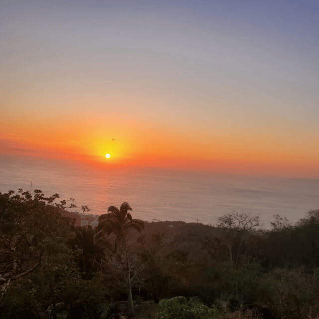 Puerto Vallarta: Zipline Experience and Tour - Introduction