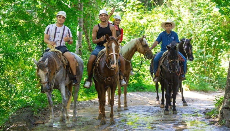 Puerto Vallarta: Zipline Experience over Canopy River Park - Key Points