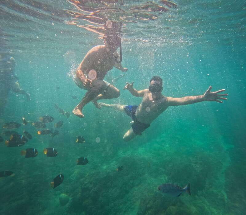 Puerto Vallarta: Zipline Tour, Snorkel & Secret Beach Escape - Key Points
