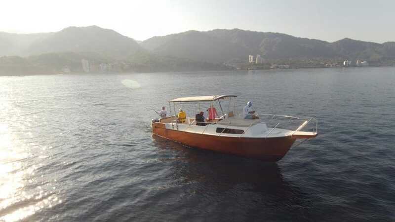 Puerto Vallarta:Exclusive Voyage to Los Arcos and El Paredón - Who Will Love This Tour?