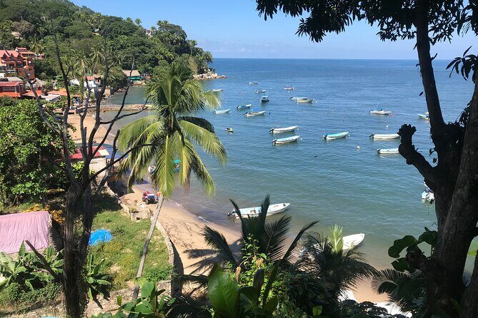 Puerto Vallarta's Yelapa Boat & Walking Tour with Tequila Tasting - Who Is This Tour Best For?