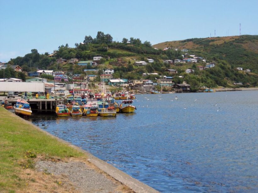 Puerto Varas: Full-Day Chiloe Island Tour Castro and dalcahue - A Detailed Look at the Tour: What to Expect