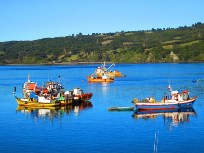 Puerto Varas: Full-Day Chiloe Island Tour Castro and dalcahue - Limitations and Considerations