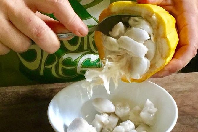 Puerto Viejo Hands on Chocolate Making Class. From Bean to Bar, Get Chocolatey! - Learning About the History and Culture of Cacao