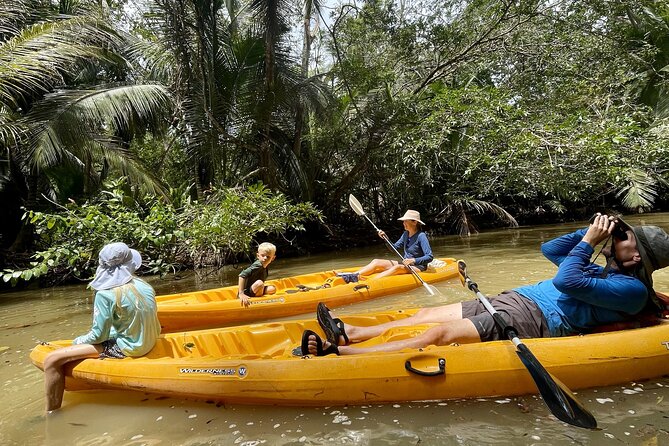 Puerto Viejo Sloth Jungle and River Kayaking Tour - Traveler Reviews and Feedback