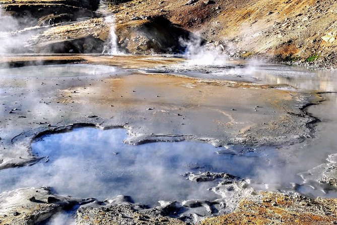 Puffin Travel Choice - We Decide Where to Go. Do It Like Locals - Why Travelers Choose Puffin Travel