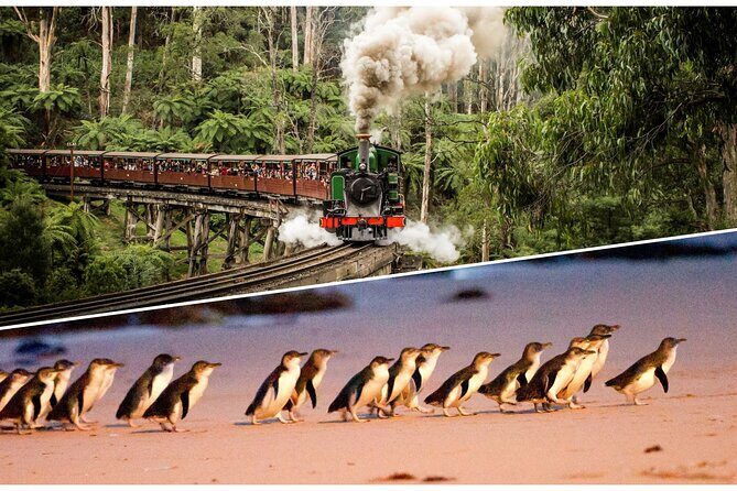 Puffing Billy and Penguin Parade Day Tour From Melbourne - Introduction