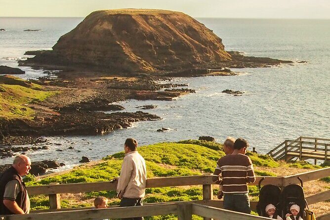 Puffing Billy And Phillip Island Penguin Parade Bus Tour - Key Points