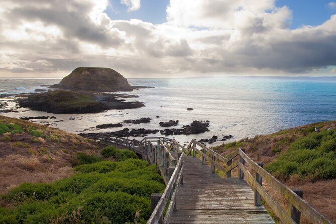 Puffing Billy And Phillip Island Penguin Parade Bus Tour - Authentic Experiences and Tips from Travelers