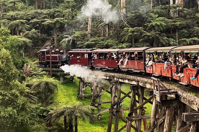 Puffing Billy Escapade and Moonlit Sanctuary Wildlife Magic - A Close Look at the Itinerary