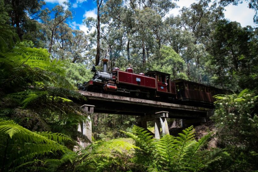 Puffing Billy Railway: Heritage Steam Train Journey - Authenticity, Value, and Practical Tips